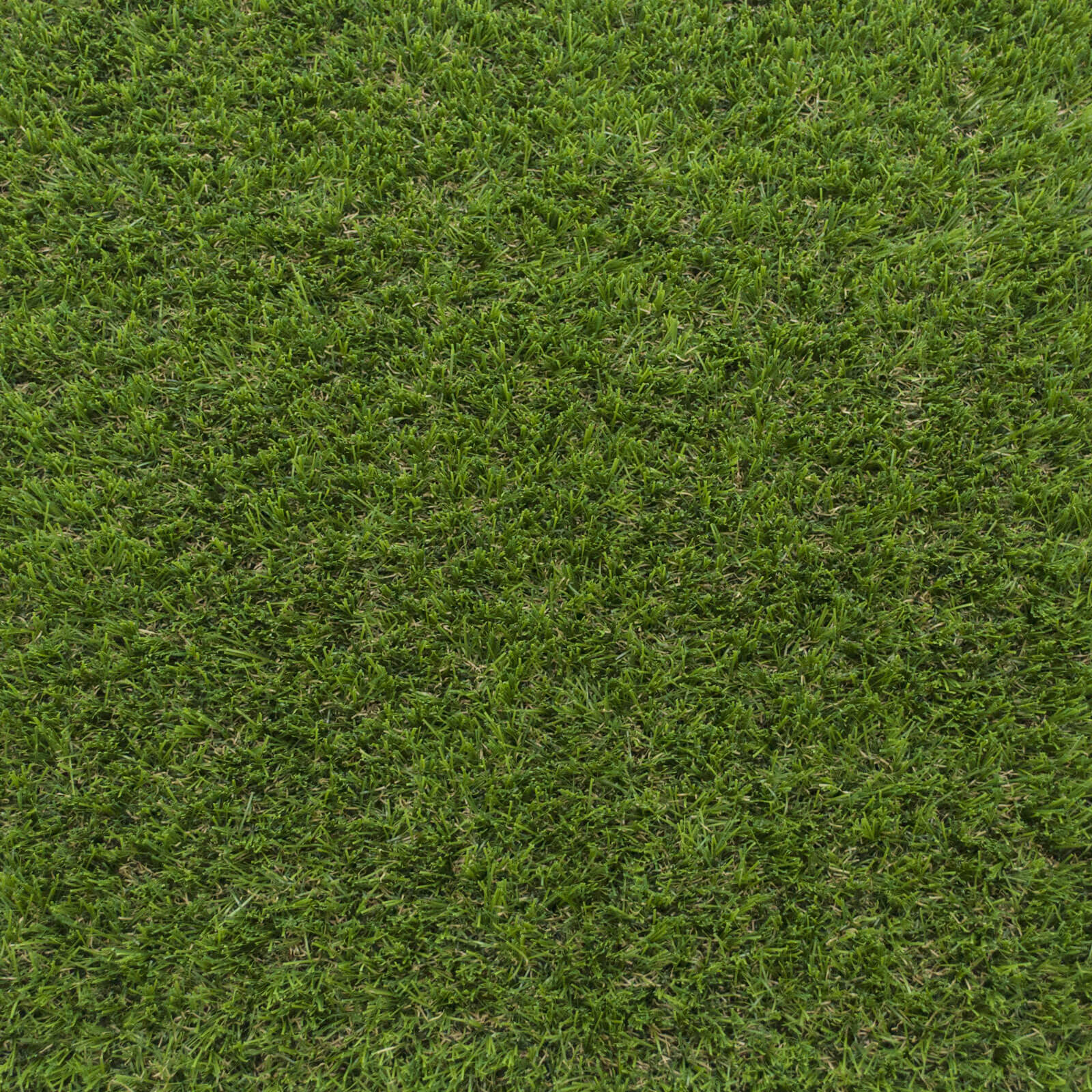 Artificial Grass | Grass Depot